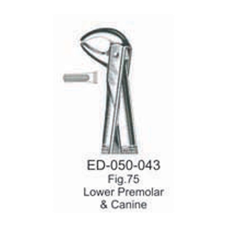 Elite Extraction Forceps Upper Root Curve – Dental Store LK